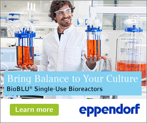 Single Cell Analysis